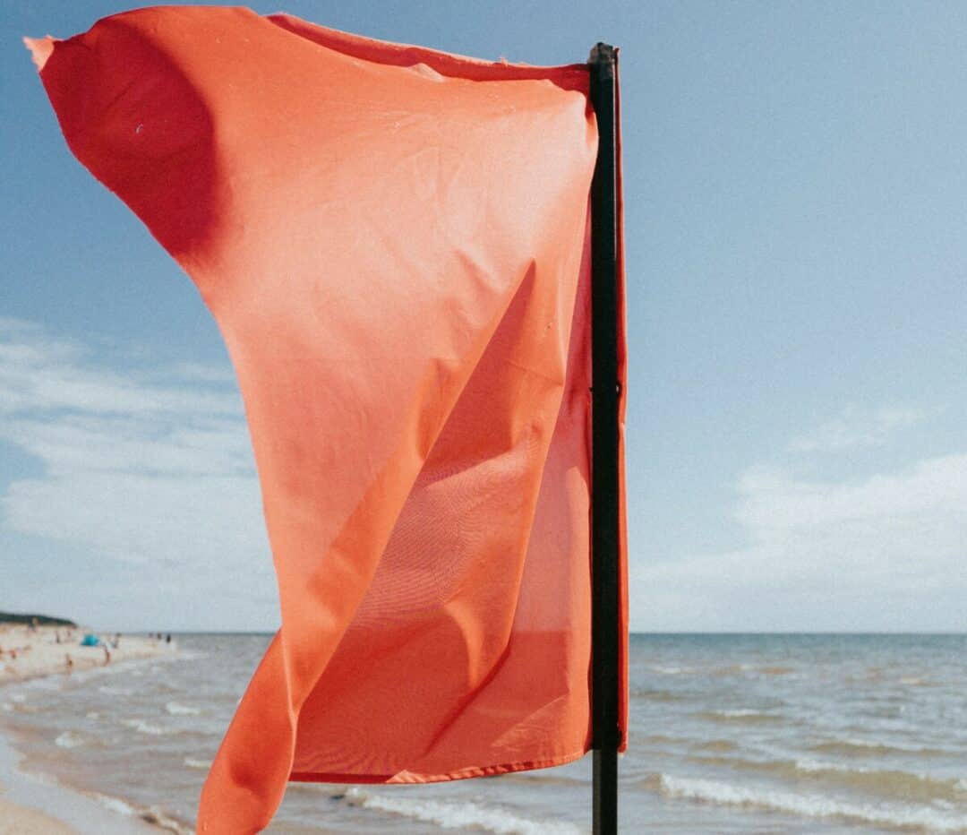 3 Major Red Flags In A Bdsm Relationship Bdsmfreedom